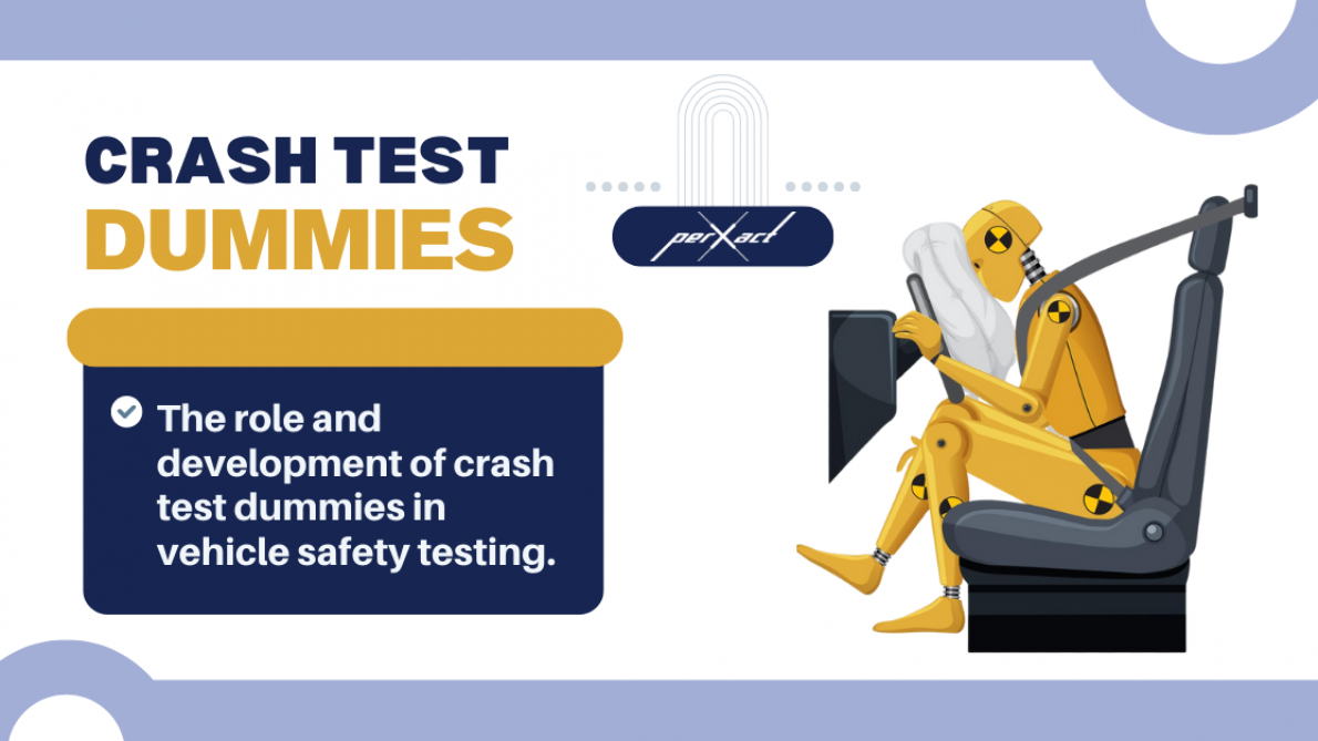 Crash Test Dummies: The Role and Development in Vehicle Safety Testing ...